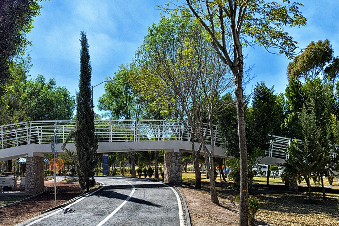 Los 20 mejores parques en la Ciudad de México que tienes que visitar ...