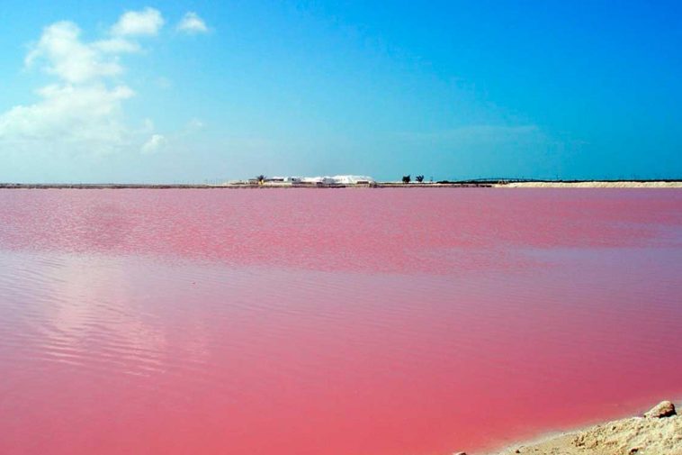 Las Coloradas Yucatán, el Lago Rosa: todo lo que debes saber - Tips ...