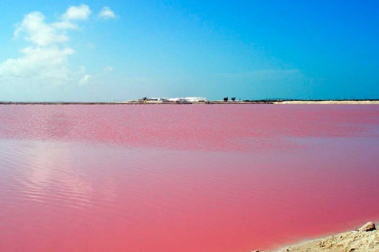 Las Coloradas Yucatán, el Lago Rosa: todo lo que debes saber - Tips ...