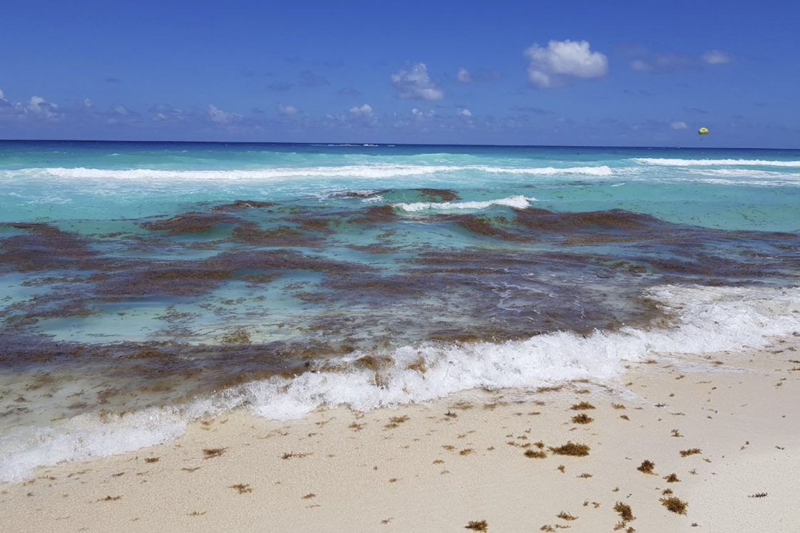 Playa Delfines, Cancún: todo lo que ocupas saber - Tips Para Tu Viaje