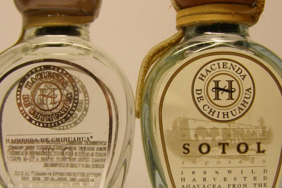 12 bebidas típicas de México, las más populares y ricas (con acohol ...