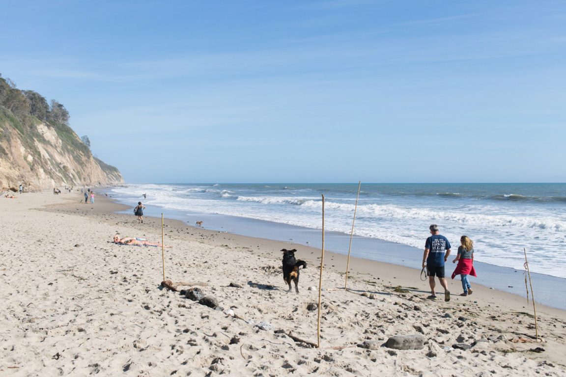 Las 25 mejores playas en California que debes conocer - Tips Para Tu Viaje