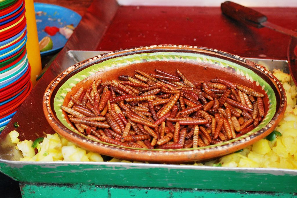 15 platillos típicos de Hidalgo que tienes que probar - Tips Para Tu Viaje