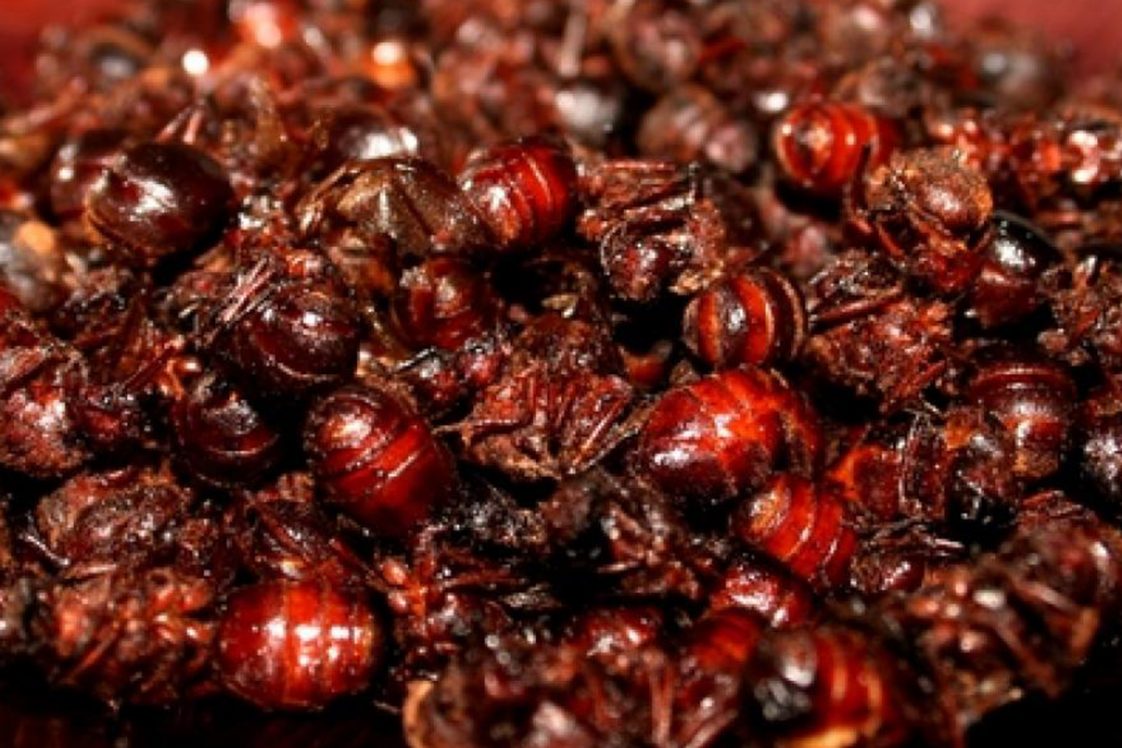 32 platillos típicos de Colombia que debes probar - Tips Para Tu Viaje