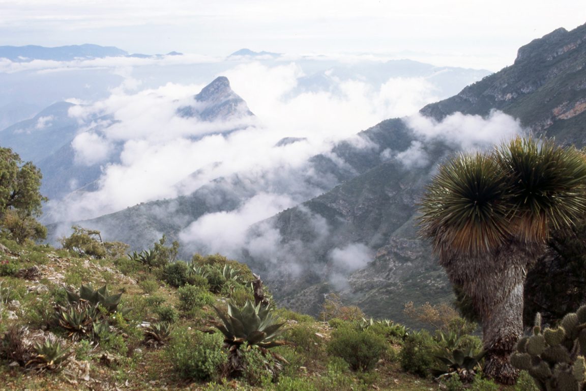 Los 25 mejores lugares turísticos de Querétaro que tienes que visitar ...