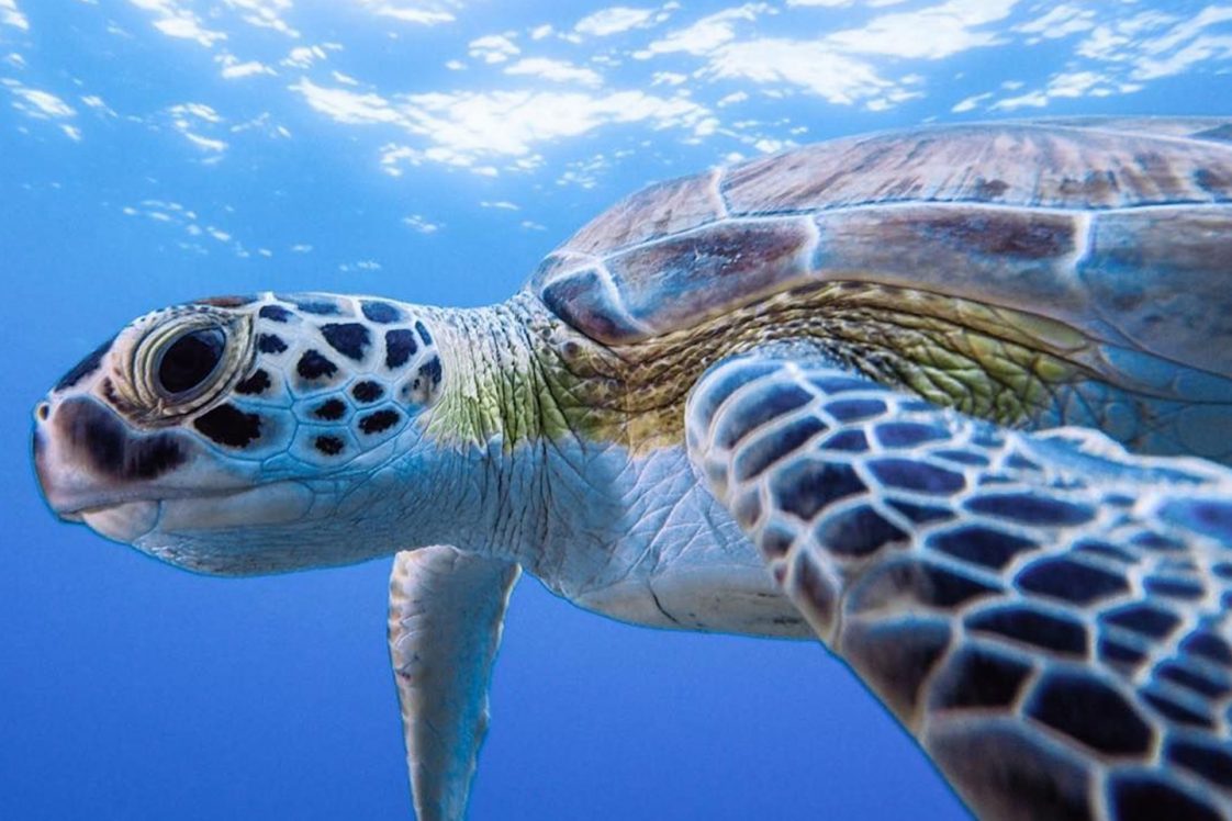 37 cosas que hacer en Puerto Rico - Tips Para Tu Viaje