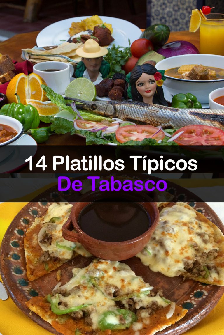 14 platillos típicos de Tabasco que debes probar - Tips Para Tu Viaje
