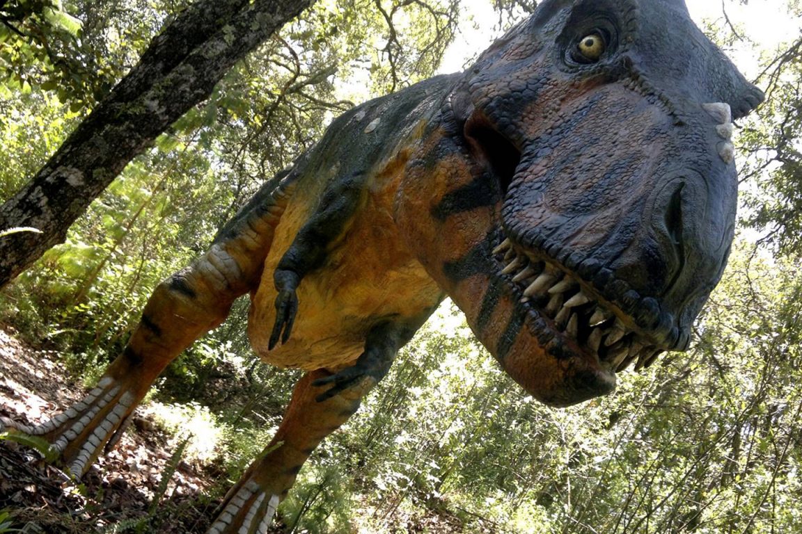 12 atractivos naturales de Toluca que debes conocer - Tips Para Tu Viaje