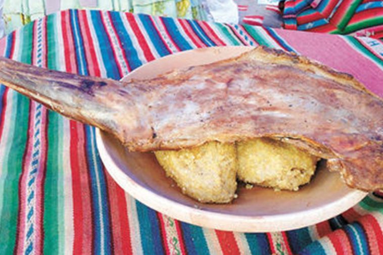 Tortilla De Huevo De Peta: Plato Típico De Beni, Bolivia – ZFCZBQ
