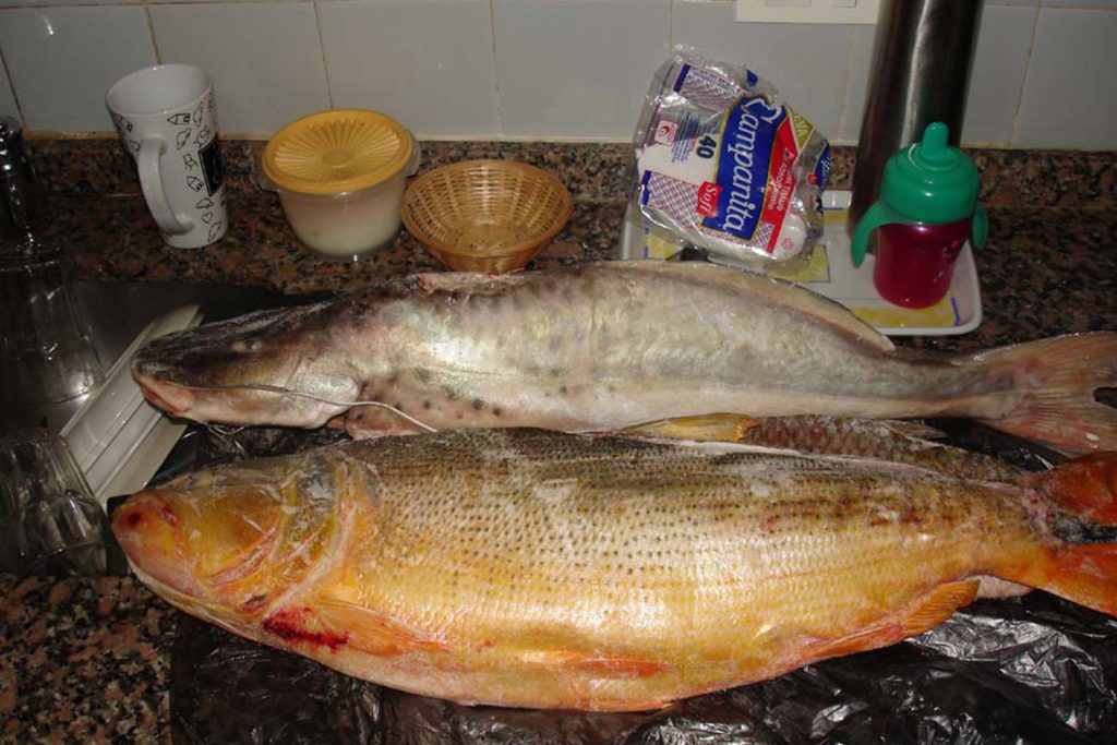 40 comidas típicas de la Argentina que debes probar - Tips Para Tu Viaje