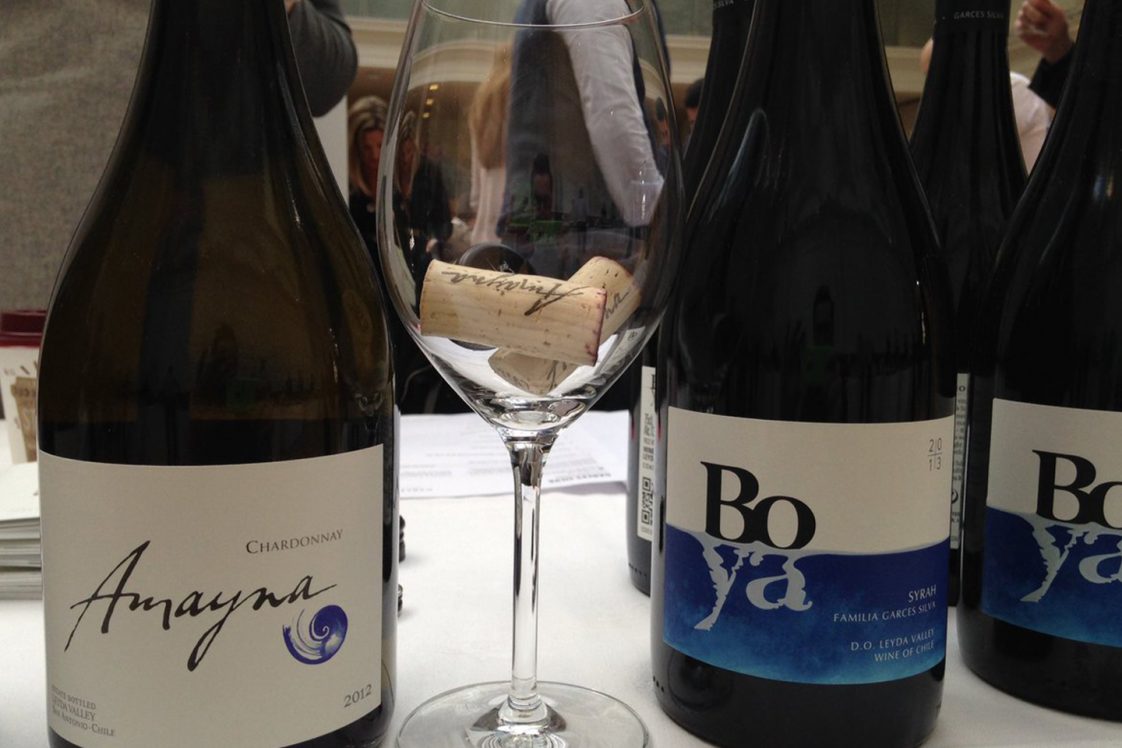 Los 20 mejores vinos chilenos que debes tomar - Tips Para Tu Viaje