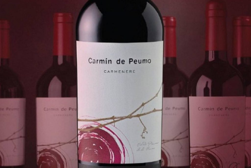 Los 20 mejores vinos chilenos que debes tomar - Tips Para Tu Viaje