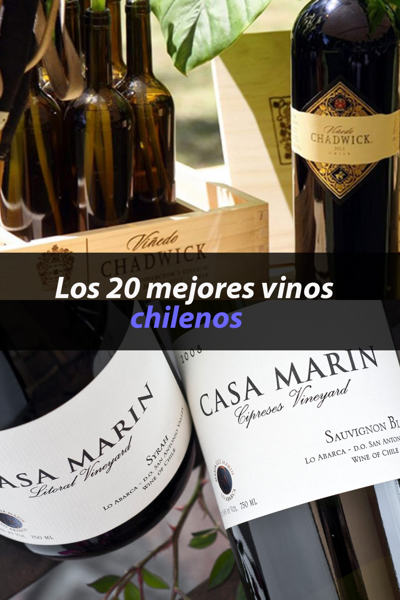 Los 20 mejores vinos chilenos que debes tomar - Tips Para Tu Viaje