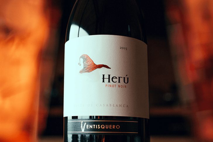 Los 20 mejores vinos chilenos que debes tomar - Tips Para Tu Viaje