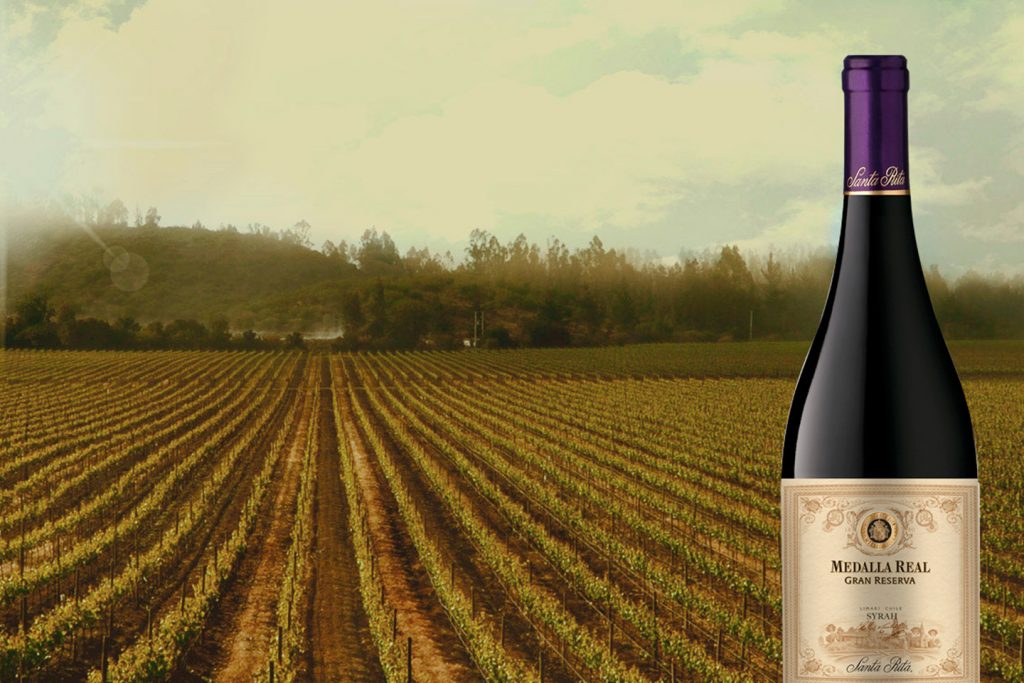 Los 20 mejores vinos chilenos que debes tomar - Tips Para Tu Viaje
