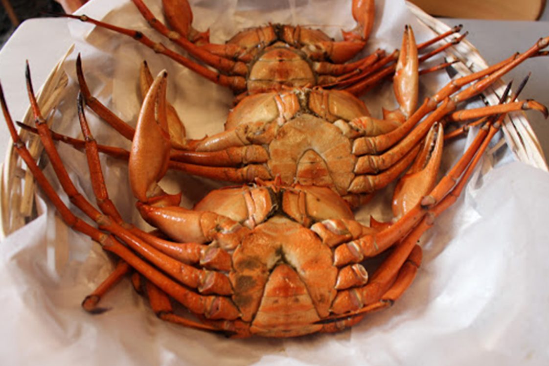 30 comidas típicas de Quintana Roo que debes probar - Tips Para Tu Viaje