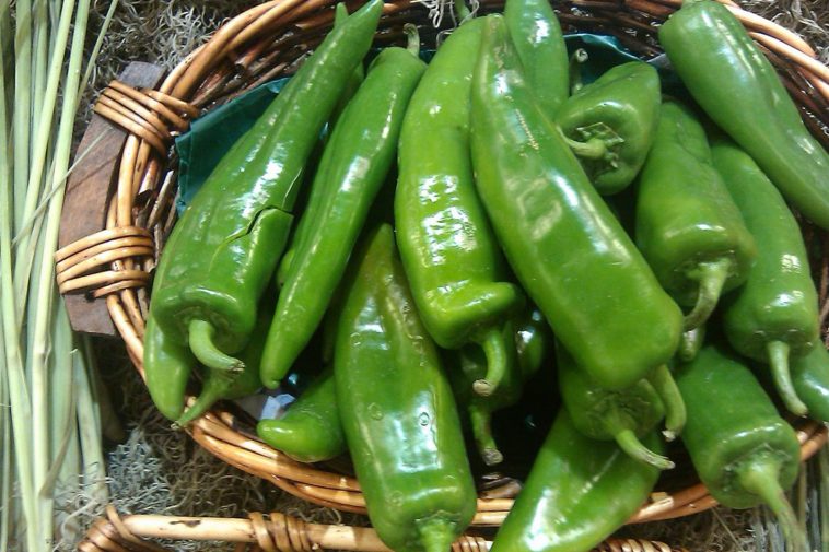 25 comidas típicas de Chihuahua: Los mejores platillos - Tips Para Tu Viaje